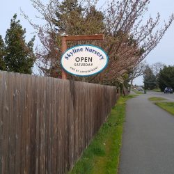 SEQUIM PLANTS: a West Coast Plant Site. Skyline Nursery.